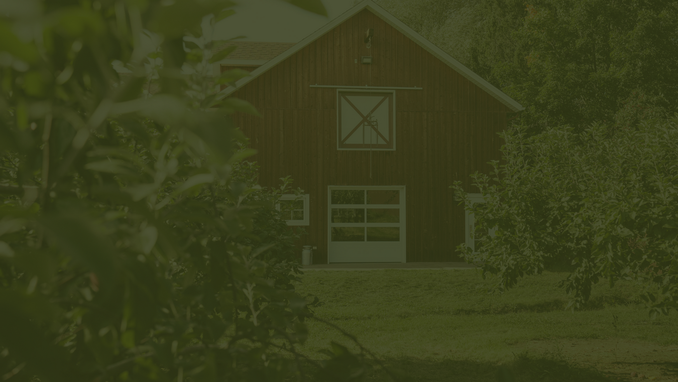 Our Story – Golden Ridge Groves