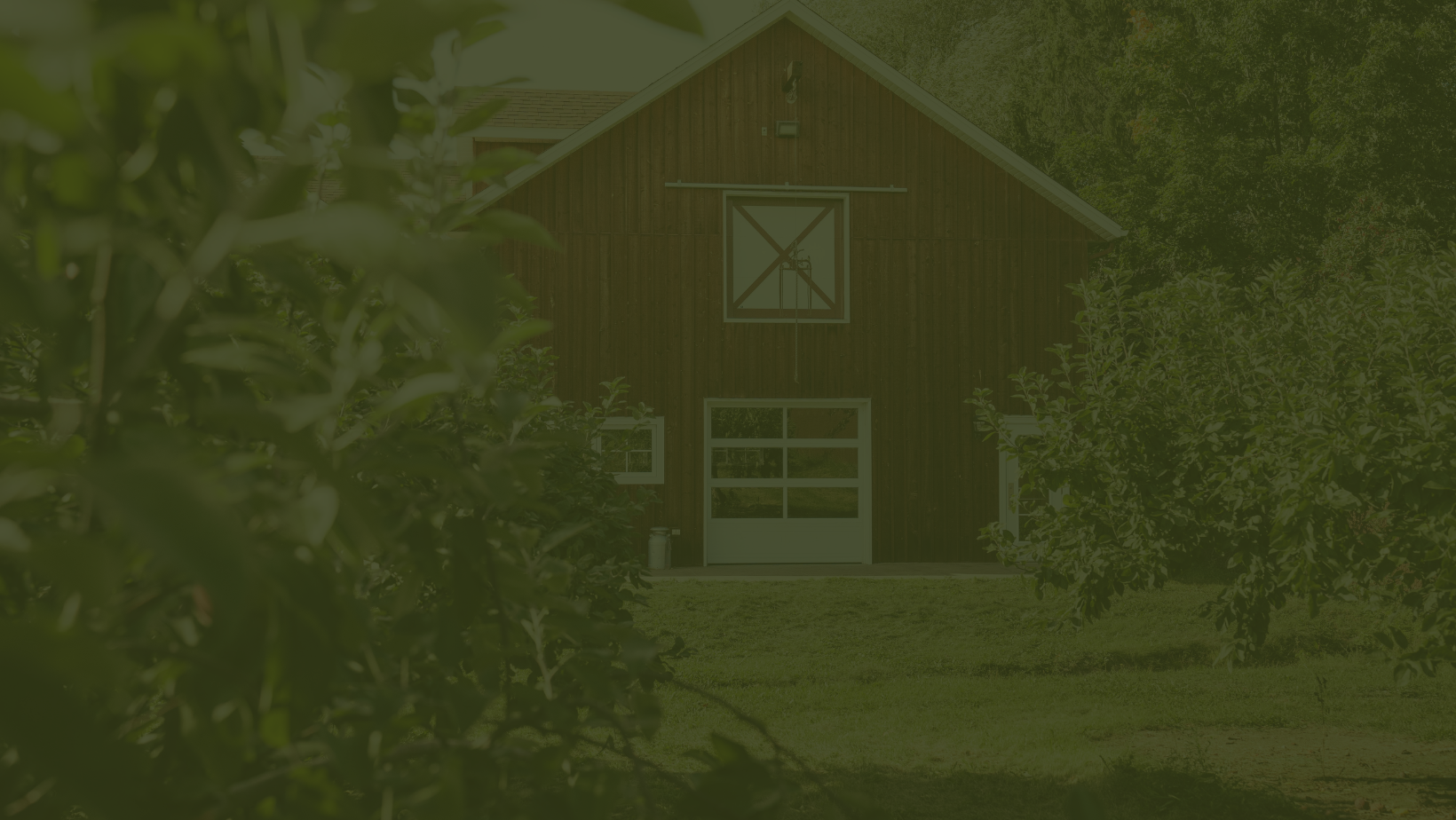 Our Story – Golden Ridge Groves